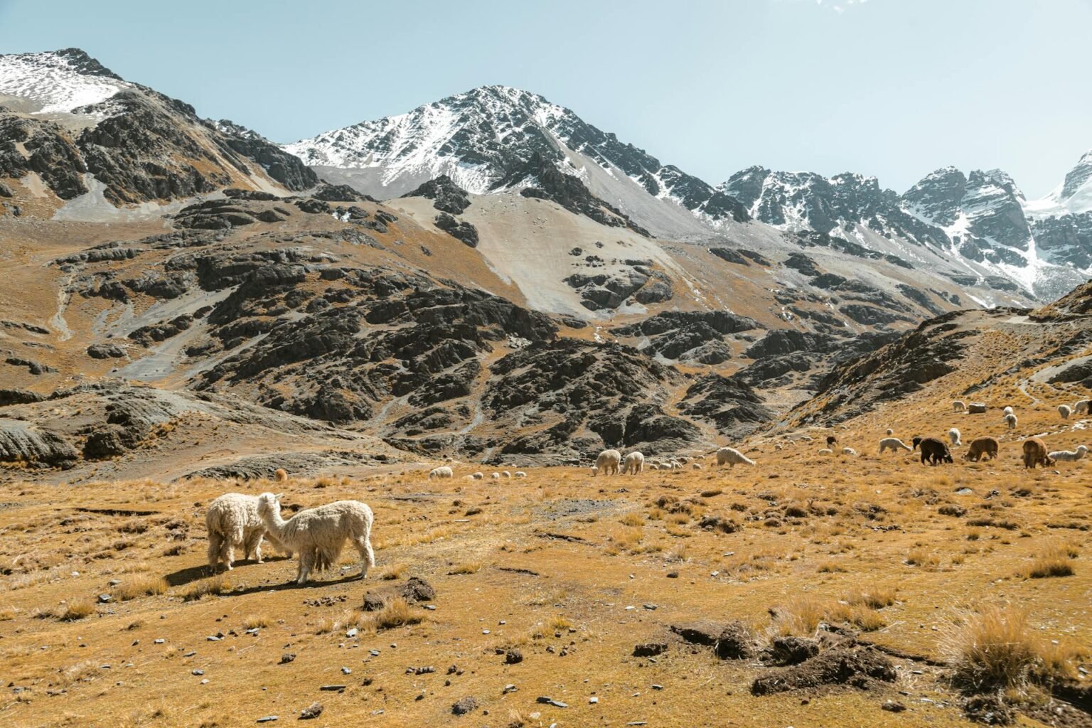 Navigating Bolivia Andes travel itinerary: An travel guide